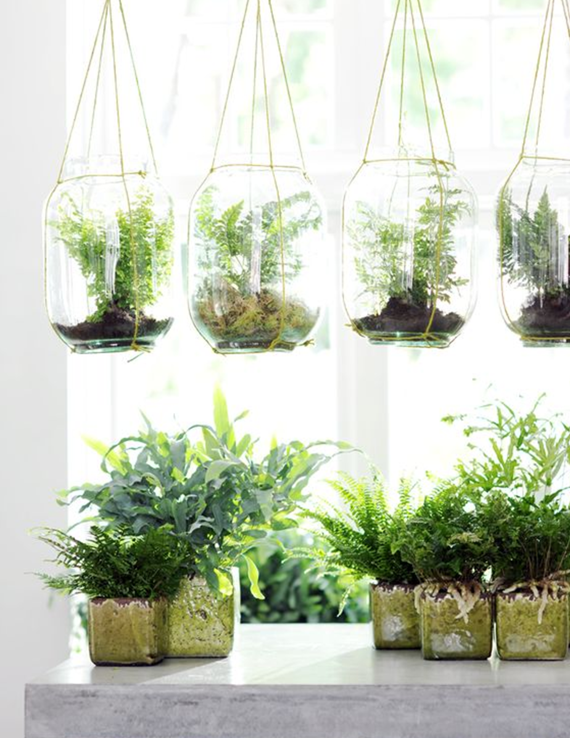 Design Trend :: Indoor Fern Plants - Simplified BeeSimplified Bee